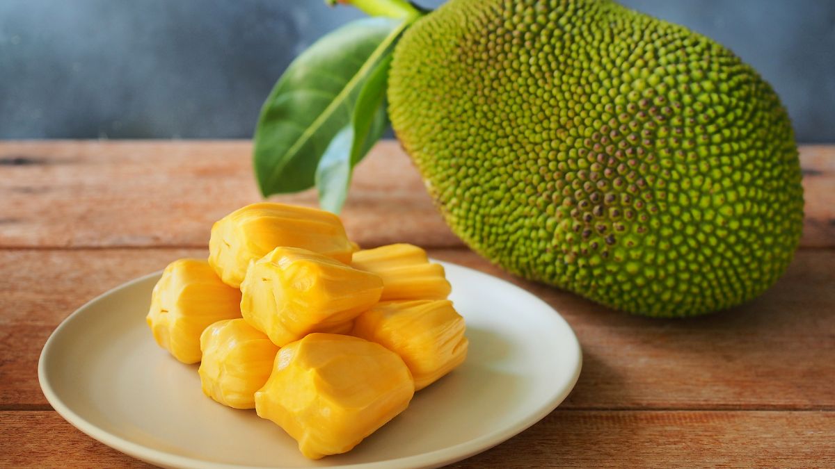 When Is Jackfruit In Season