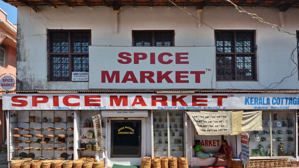 Exploring Kerala's Vibrant Street Culture - pinklungi.com