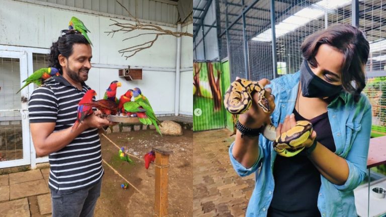 There's a Bird Park in Ernakulam where you can Interact with Birds up close - pinklungi.com